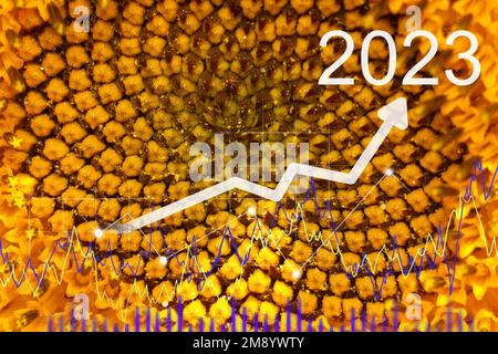 Finance arrow and sunflower, rising prices for sunflower oil ...