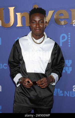 LOS ANGELES - JAN 15: Olly Sholotan at NBCUniversal Press Tour Red Carpet at the Langham ...