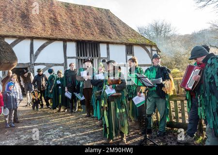Wassailing event at the Weald and Downland Living Museum, January 2023 ...