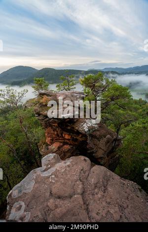 A rocky cliff surrounded by trees with fog covering the forest Stock ...
