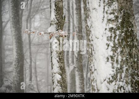 Winter time with heavy snow at Medvednica mountain in Zagreb, Croatia ...