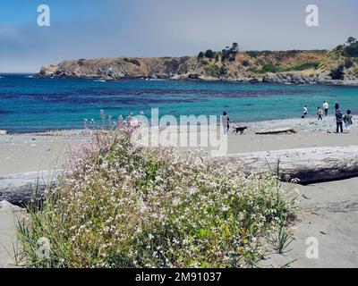 The rocky, rugged and wild mouth of the Noyo River, Noyo, Mendocino ...