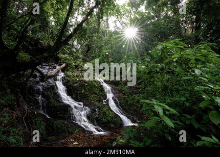 Mini waterfall of water stream from the forest Stock Photo - Alamy
