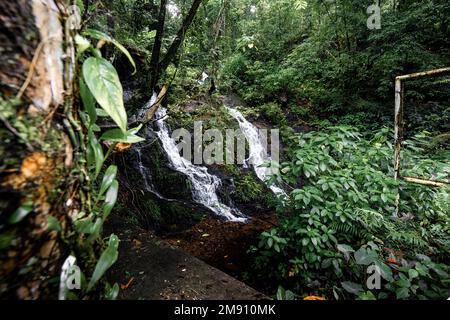 Mini waterfall of water stream from the forest Stock Photo - Alamy