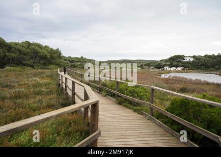 Es Grau, Minorca, wooden walkway in wetlands of Albufera des Grau ...
