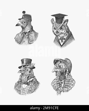 Rooster character in a hat. Fashionable Aristocrat or Rich Man. Hand ...