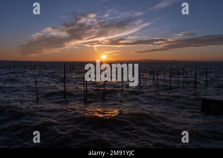 The Albufera is a freshwater lagoon, the largest in Spain. Valencia ...
