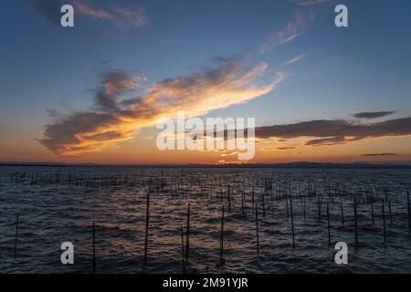 The Albufera is a freshwater lagoon, the largest in Spain. Valencia ...