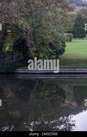 The River Thames along Goring Stock Photo - Alamy