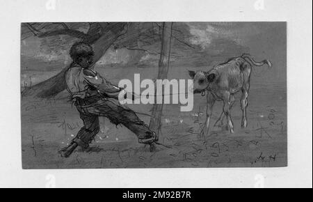 Study for "The Unruly Calf" Winslow Homer (American, 1836-1910). Study ...
