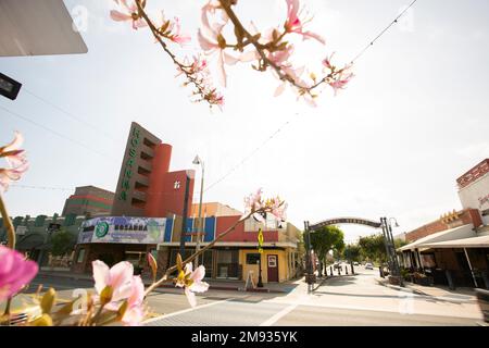 Bellflower, California, USA - May 2, 2021: Afternoon sun shines on ...