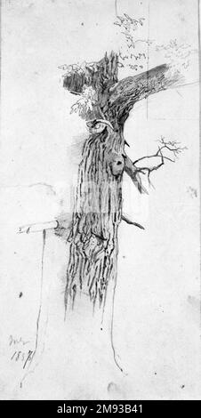 Foliage Study William Trost Richards (American, 1833-1905). , n.d ...