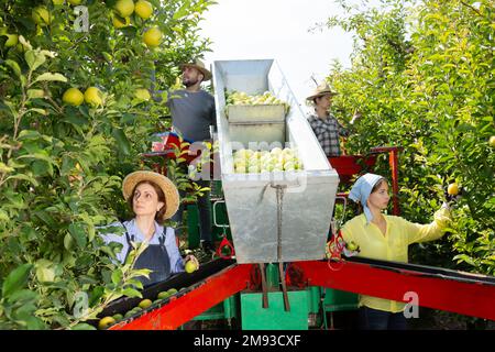 Farmers working on harvesting platform Stock Photo - Alamy