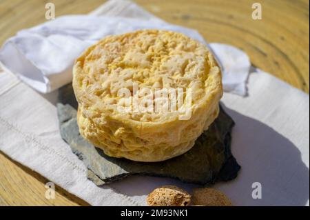 Tasting of local portuguese matured cheese queijo serpa, Setubal area ...