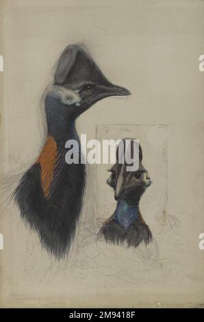 This image depicts four birds in flight, a beautiful representation of ...