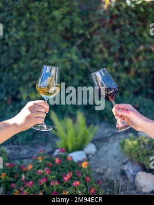 Red and white wine glasses cheering Stock Photo - Alamy