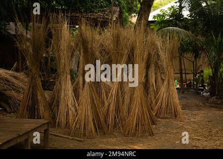 The soaked jute is being dried in the sun. Closeup image of jute. Jute ...