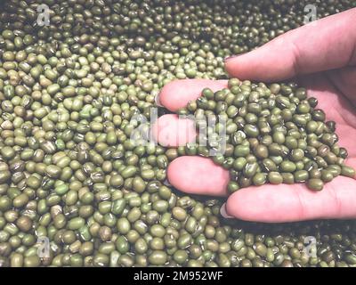 Woman hands holding green beans background Stock Photo - Alamy