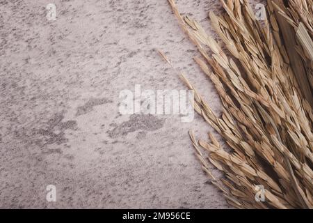 Dried paddy rice on a gray background.Copy space Stock Photo - Alamy