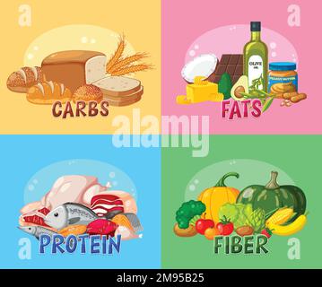 The four main food groups illustration Stock Vector Image & Art - Alamy