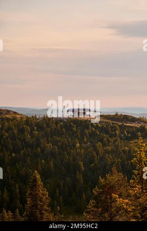 A vertical shot of a chairlift structure and evergreen trees in a park ...