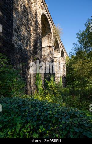 Arches of the railway bridge near Brownhill countryside centre ...