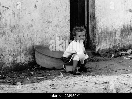 little girl sitting on potty, potty training, Switzerland Stock Photo ...