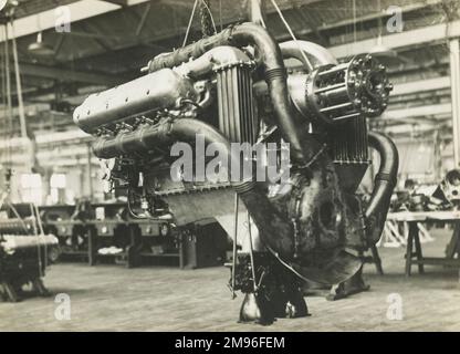 Napier Lion Series V E79, turbo-blown unit Stock Photo - Alamy
