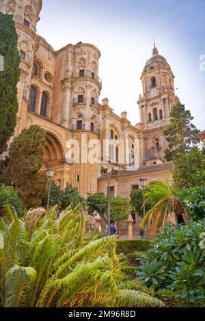 Malaga landmark architecture in Andalusia region of Spain. Cathedral ...