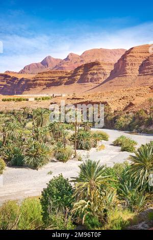 Ziz Valley In Morocco: One Of The Largest Oases In The World Stock ...