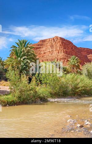 Ziz Gorges, Morocco, Africa Stock Photo - Alamy