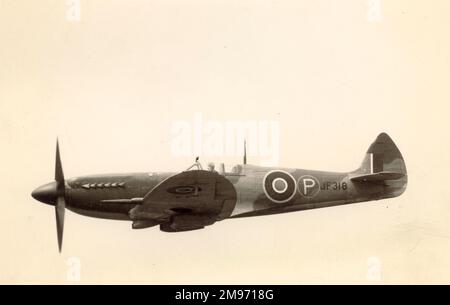 Supermarine Spitfire VIII, JF318, after conversion to a XIV by the ...