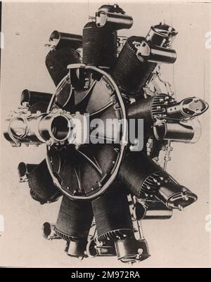 Packard DR-980 was a nine-cylinder, single-row, air-cooled radial ...
