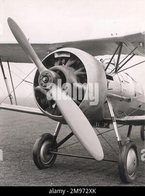 Bristol Bulldog IVA, R-8, fitted with Perseus IA radial at the SBAC ...