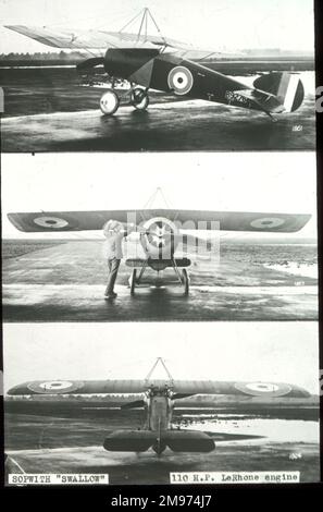 Sopwith Swallow monoplane Stock Photo - Alamy
