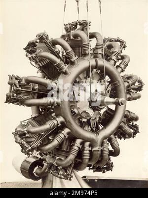 Bristol Orion nine-cylinder radial. Front view Stock Photo - Alamy