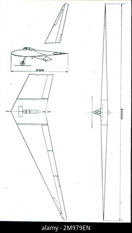Horten HIII glider Stock Photo - Alamy