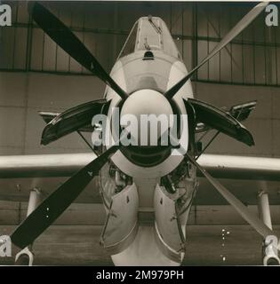 Short SB6 Seamew Stock Photo - Alamy