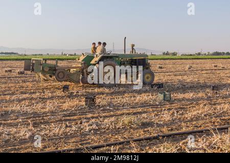 BAHAR, IRAN - JULY 13, 2019: Farmer family on their tractor near Bahar ...