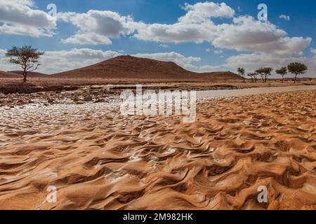 Desert landscape after rain, Saudi Arabia Stock Photo - Alamy