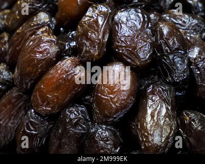 date palm in fes medina in Morocco Stock Photo - Alamy