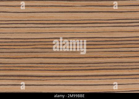 Zebra tree. Texture of brown wood with horizontal black stripes ...