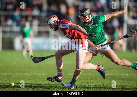 January 15th, 2023, Cork, Ireland - Cork Captain Sean O'Donoghue at the ...