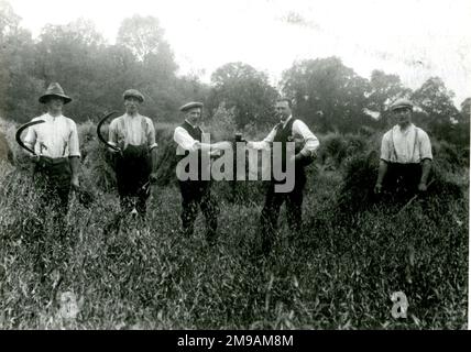 Draycott, Cotswold village, Oldborough Farm at harvest time, during WW1 ...