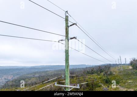 Photograph of a green wooden powerline pole with a multitude of ...