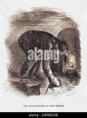 London Rat Catcher 1860s Stock Photo - Alamy