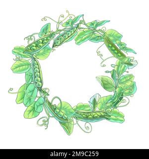 Drawing of green peas in pods. High quality photo Stock Photo - Alamy