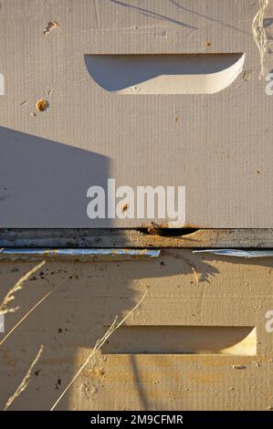 Stacks of pastel-coloured wooden bee hives in the wilds of the Waitaki ...