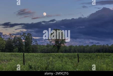 Moonrise in northern Wisconsin Stock Photo - Alamy