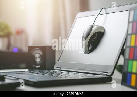 Monitor calibration by using external calibrator to ensure color is ...